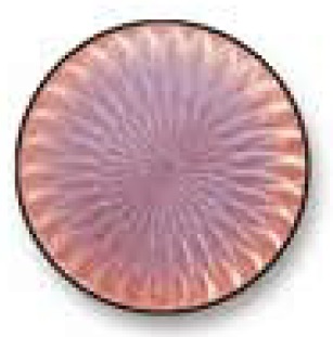 Schauer Enamel Colourless Flux 1W